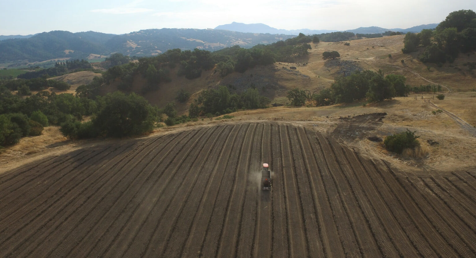Vineyard Replanting Behind the Scenes at Jordan Winery Estate