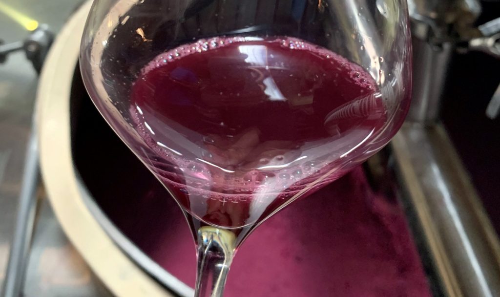 2019 Grape Harvest Report | Sonoma Crush at Jordan Winery