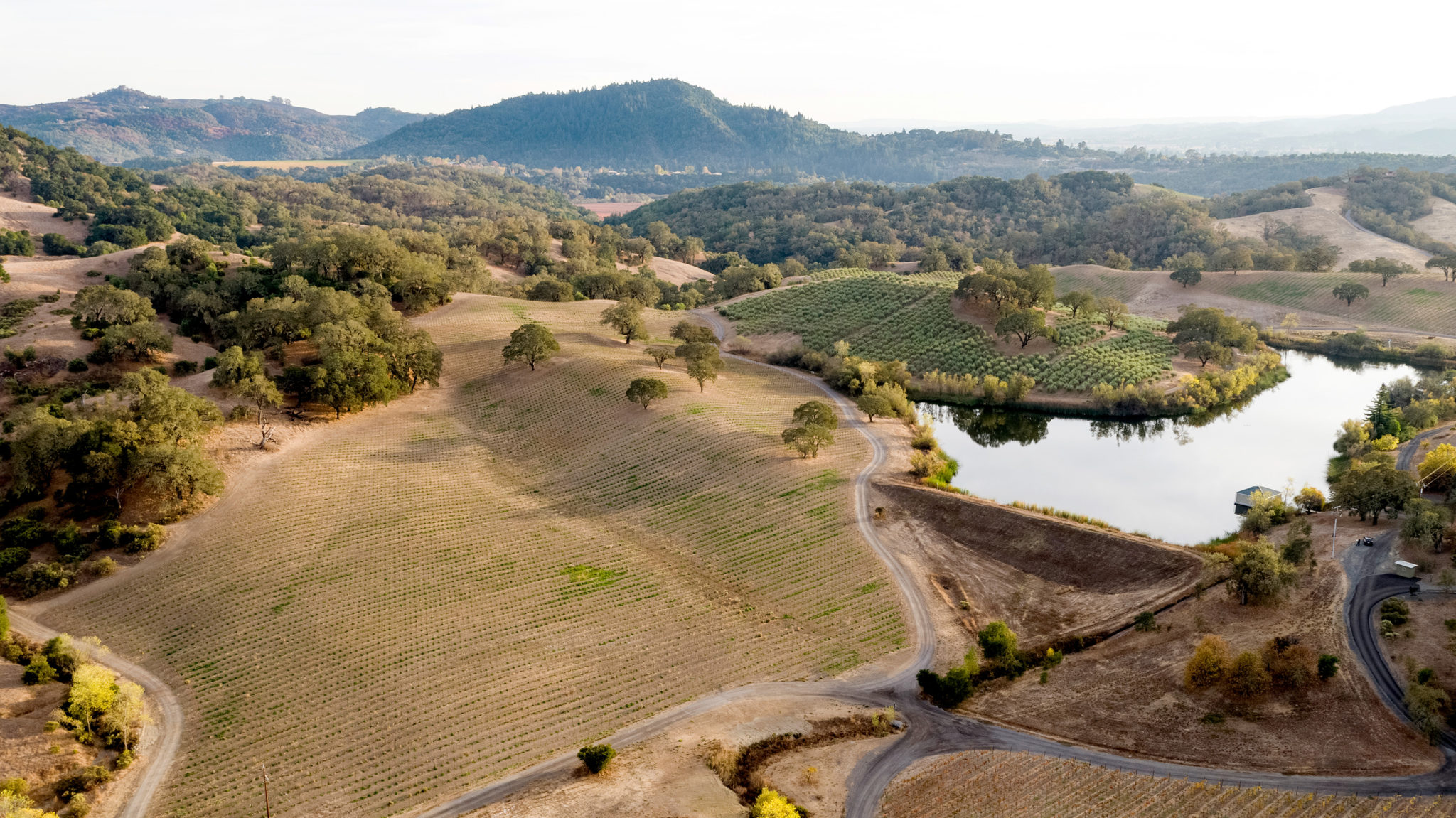 Who We Are | The Jordan Winery Family