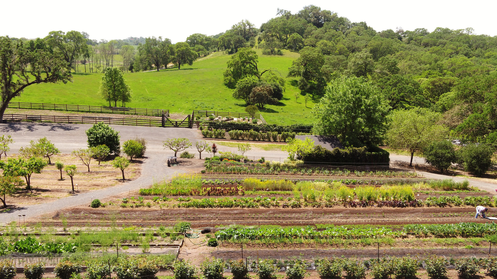 Winery Cooking Class | Learn and Lunch | Jordan Winery