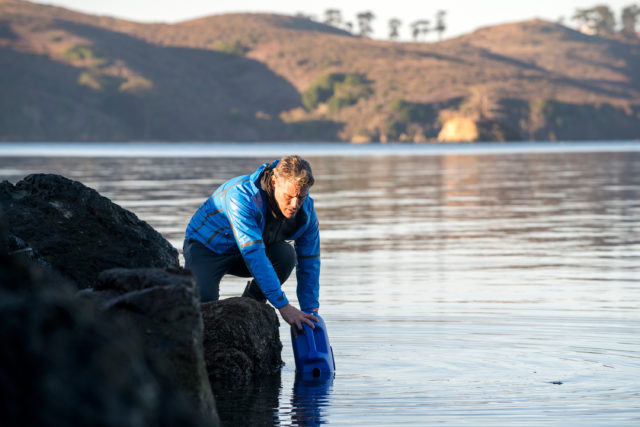 Wild Food Foraging | A Chef’s Passion | Jordan Winery