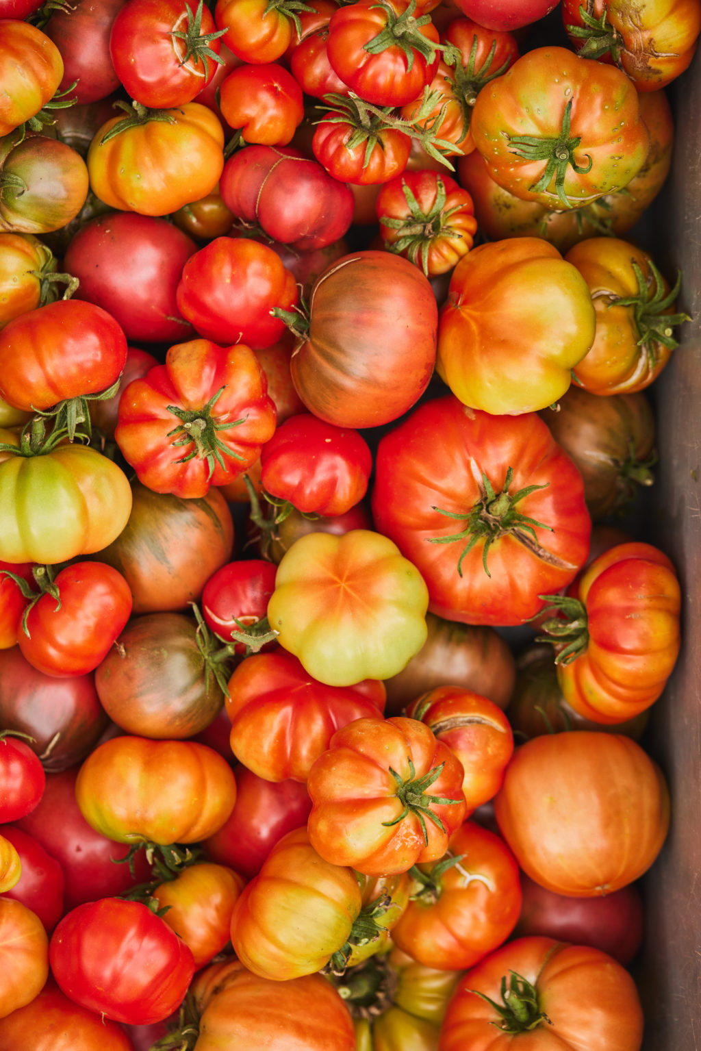 Visit Jordan Winery | Tours, Tastings, Lunches | Healdsburg, CA