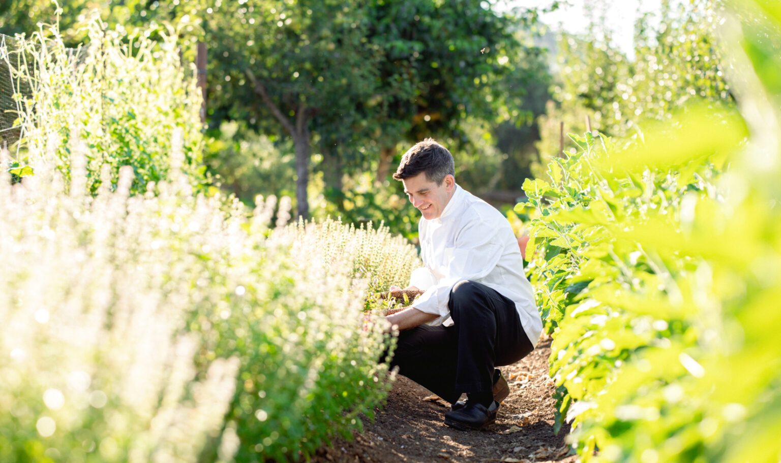 Chef's Terrace Tasting - Jordan Winery
