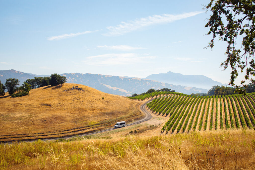 Jordan Estate Rewards | Winery Loyalty Program | Jordan Winery
